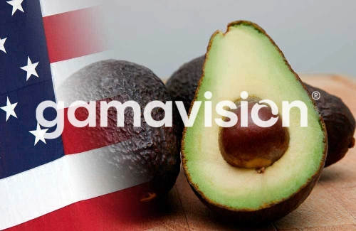 Esperan se reanuden exportaciones