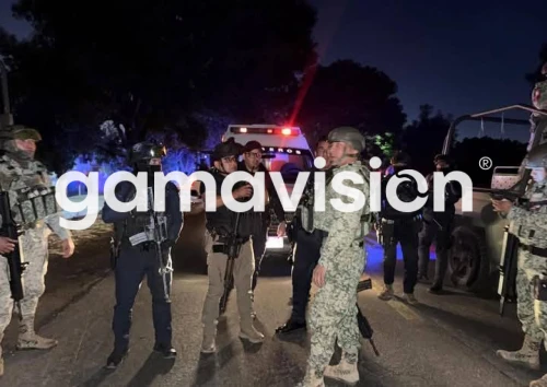 Asesinan a cinco elementos federales en ataque armado en Michoacán y ...