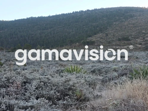Presencia de hielo tras llegada del frente frío en Galeana, N.L.