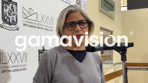 Sanciones por usar el término “chiriwillo” genera distintas posturas en ...